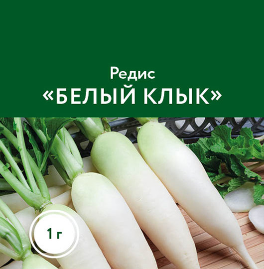 Редис «Белый клык» – купить саженцы оптом и в розницу – питомник Сады Урала