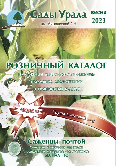 PDF Каталоги