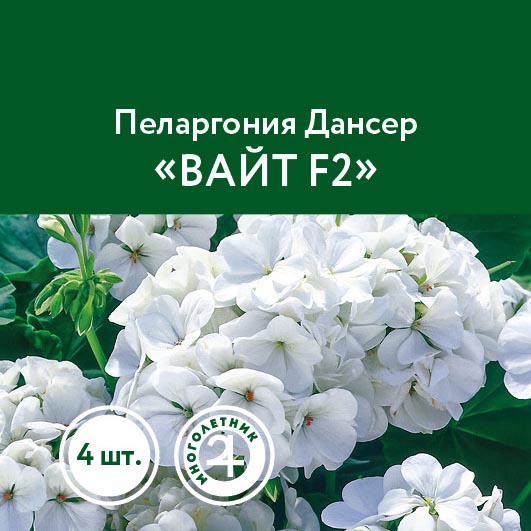 Пеларгония Дансер «Вайт F2»